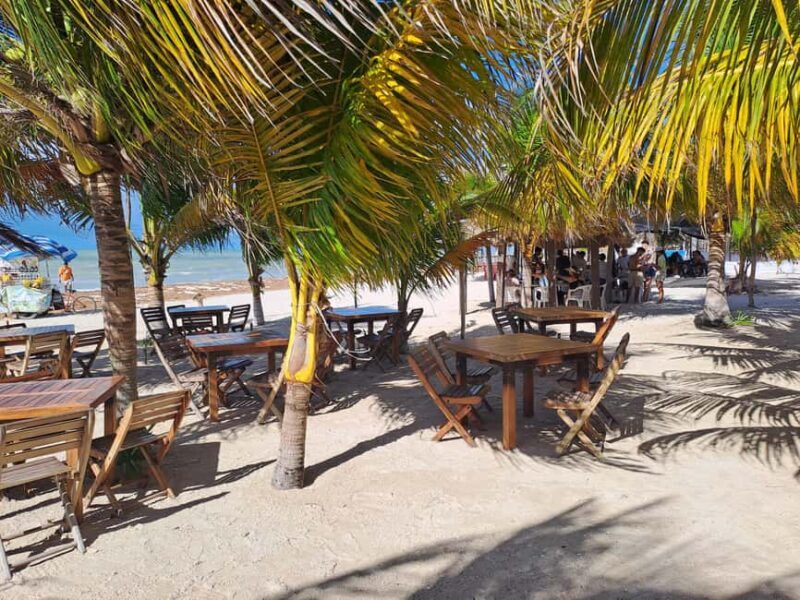 Celestun + Lunch, Boat Ride & beach time. - Who Will Enjoy This Tour?