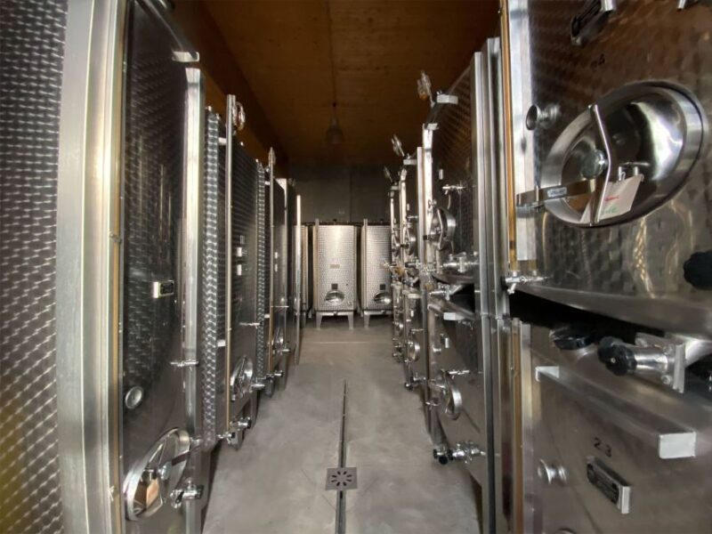 Cellar visit and Alsace wine tasting with a feminine touch - The wines: what makes this tasting special?