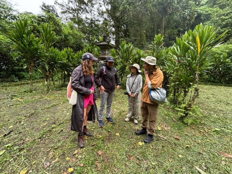 Celukan Bawang Cruise Port: Bali Highlights Private Day Tour - Transport & Duration: Why It Matters