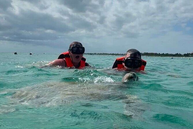 Cenote and Swimming with Turtles Private Tour in Akumal - An Authentic Adventure in the Heart of Yucatán