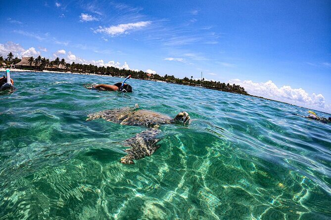 Cenote and Swimming with Turtles Private Tour in Akumal - Practical Details: Transport, Timing, and Customization
