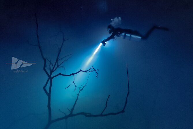Cenote El Pit and Dos Ojos Dive Trip - An In-Depth Look at the Tour Experience