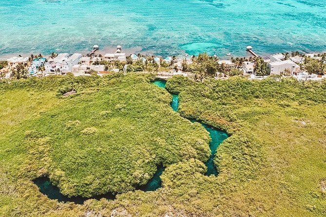 Cenote Paddleboarding and Snorkeling in Tulum - The Sum Up: Who Will Love This Tour?