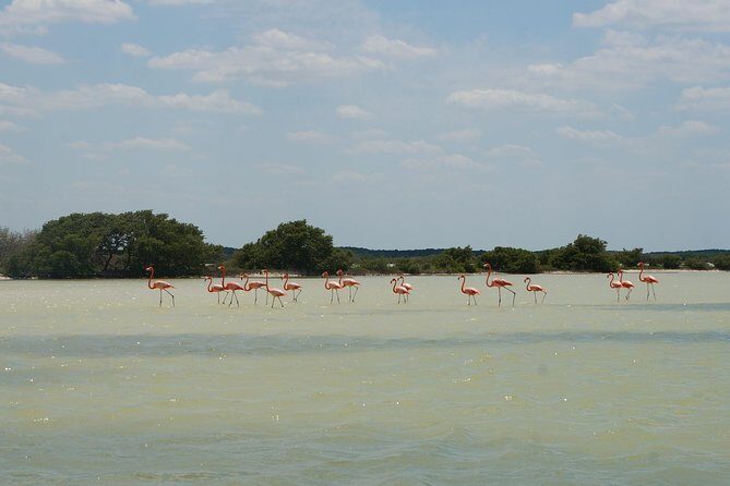 Cenote Suytun & Rio Lagartos & Las Coloradas - Final Thoughts