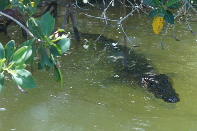 Cenote Suytun & Rio Lagartos & Las Coloradas - FAQ