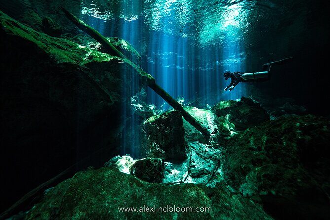 Cenotes 2-Day Scuba Diving Package in the Riviera Maya - What Makes This Tour Stand Out