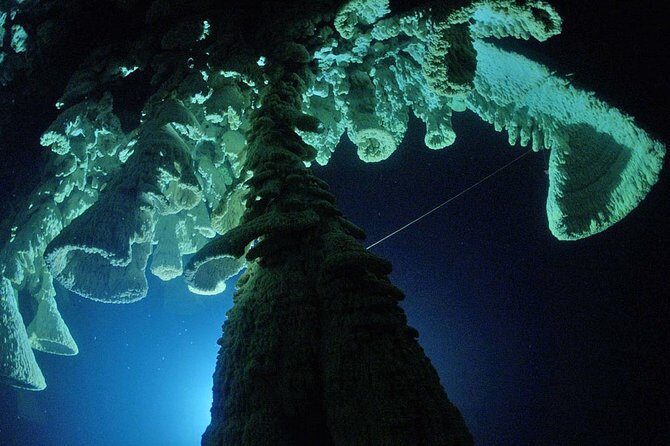 Cenotes 2-Tank Dive in Playa del Carmen/for certified divers only - What Makes This Cenote Dive Special