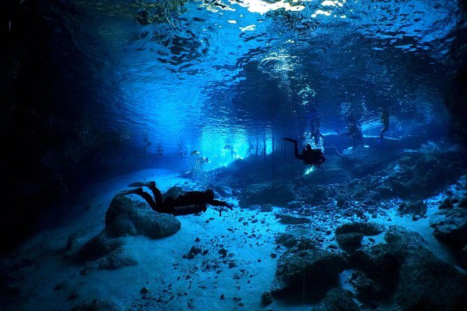 Cenotes 2-Tank Dive in Playa del Carmen/for certified divers only - Authentic Experiences and Authentic Concerns