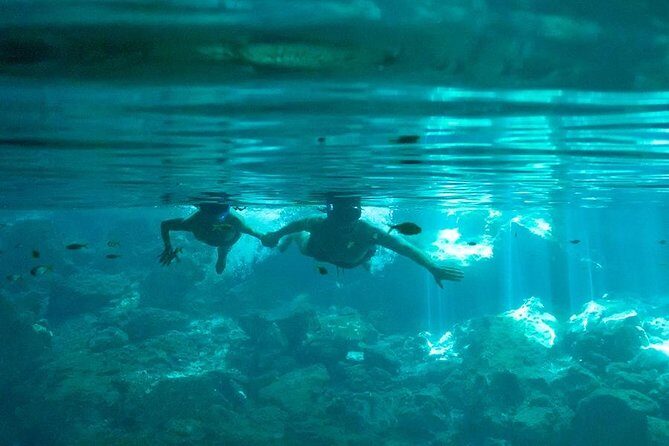 Cenotes and Snorkel - An In-Depth Look at the Tour Experience