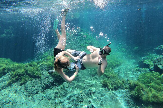 Cenotes by Bike and Mayan Cooking Class Half-Day Guided Tour - An In-Depth Look at the Cenotes by Bike and Mayan Cooking Tour