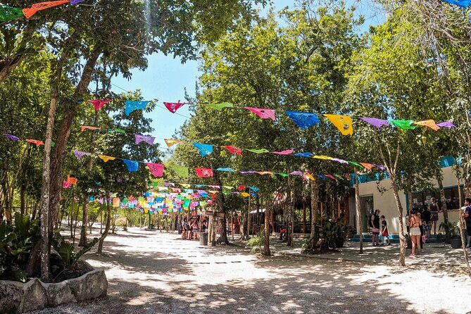 Cenotes Casa Tortuga: 4 Cenotes Day Pass All Inclusive - An In-Depth Look at the Tulum Cenotes Adventure
