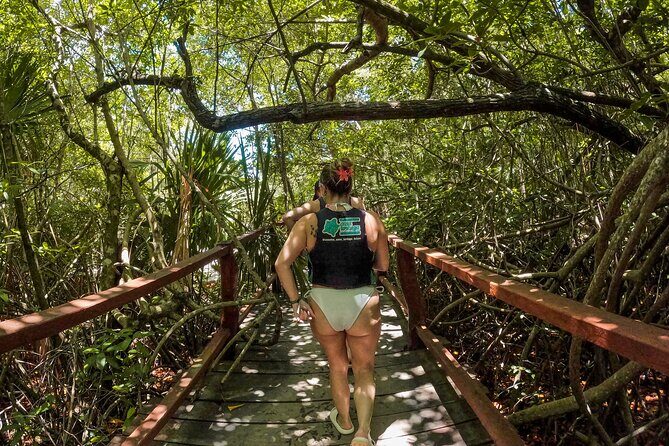 Cenotes Casa Tortuga: 4 Cenotes Day Pass All Inclusive - FAQ