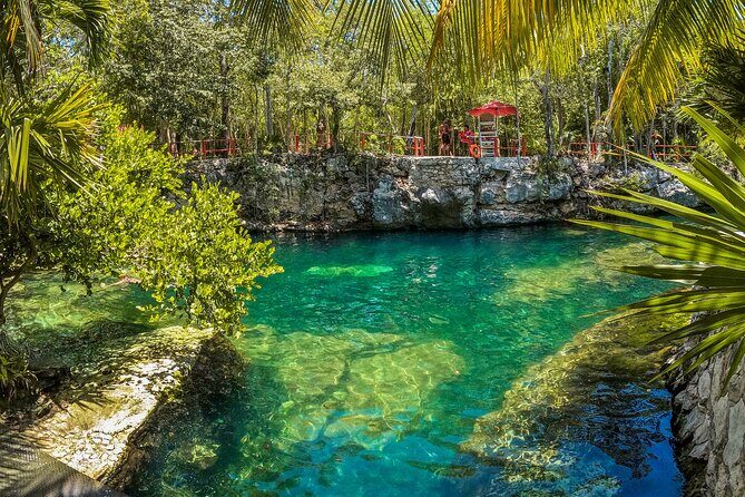 Cenotes Casa Tortuga: 4 Cenotes Day Pass + Kayak - Key Points