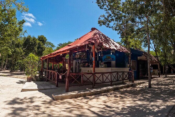 Cenotes Casa Tortuga: 4 Cenotes Day Pass + Kayak - The Core of Your Riviera Maya Adventure: What to Expect at Cenotes Casa Tortuga