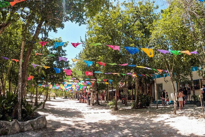 Cenotes Casa Tortuga: 4 Cenotes Day Pass + Kayak - FAQ