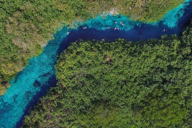 Cenotes diving - Final Thoughts: Is This Tour Right for You?