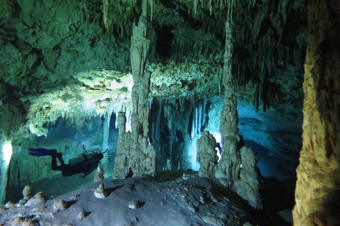 Cenotes diving Dos Ojos and The Bat Cave - An In-Depth Look at the Tour