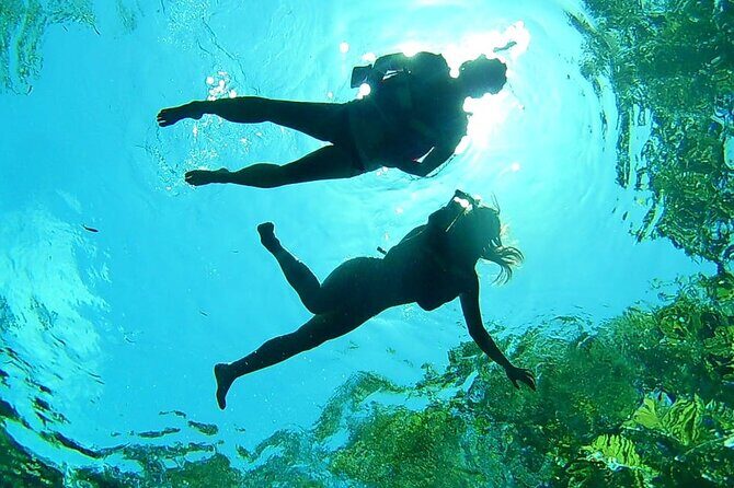 Cenotes Private Tour VIP - What’s Included and What’s Not