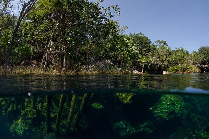 Cenotes snorkeling excursion - Authenticity and Overall Experience