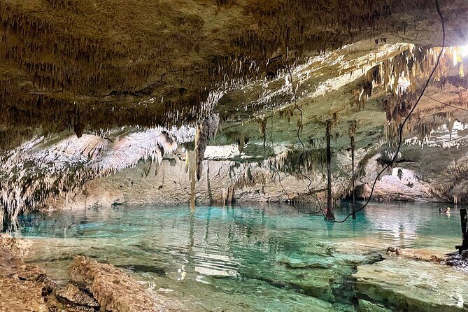 Cenotes Taak Bi Ha & Nicte Ha  VIP Snorkeling Private Tour - A Closer Look at the Experience
