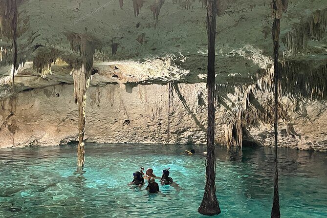 Cenotes Taak Bi Ha & Nicte Ha  VIP Snorkeling Private Tour - The Sum Up