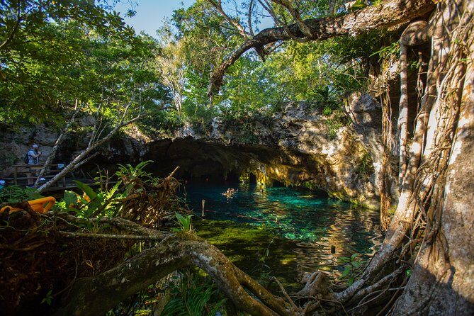 Cenotes trail jungle bike tour in Tulum with lunch - Exploring the Trail and the Cenotes