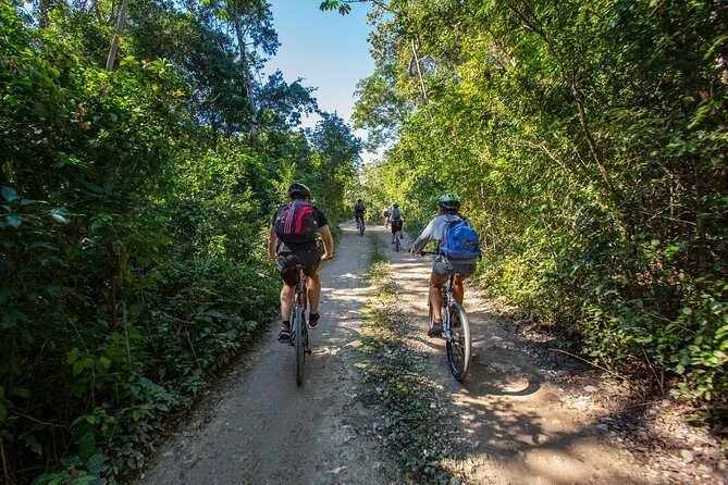 Cenotes trail jungle bike tour in Tulum with lunch - Practical Considerations and Value