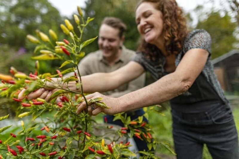 Central Coast NSW: The Winemakers Secret Garden Tour - An In-Depth Look at the Tour