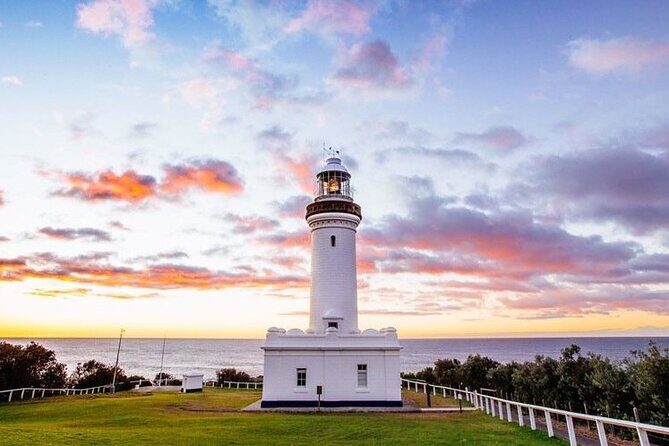 Central Coast Private Day Tour | Beaches, Bays and Wildlife & Reptile Park Entry - Who Is This Tour Best For?