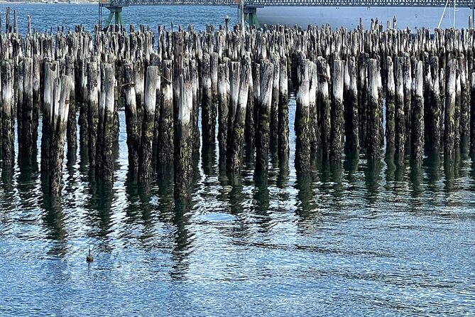 Central Coastal Maine Private Day Tour - FAQ