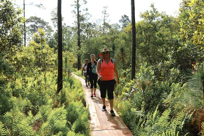 Central Florida Guided Nature Walk and Private Yoga Class - Detailed Itinerary and What to Expect