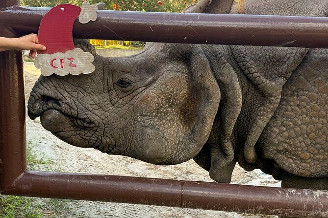 Central Florida Zoo and Botanical Gardens Ticket - Value and Practical Considerations