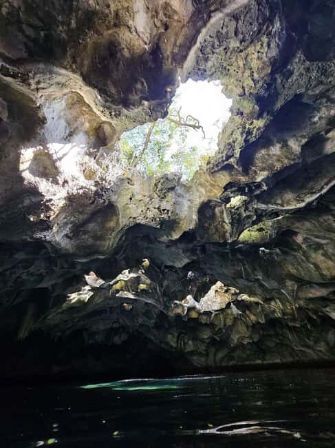 Central Long Island 3 Hour Guided Land Tour - Key Points