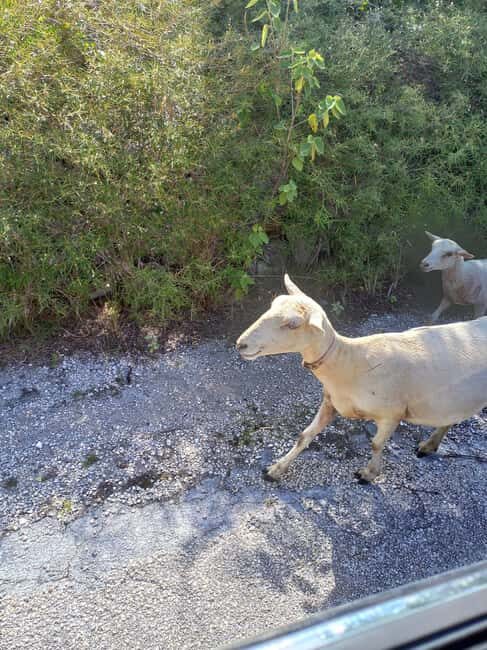 Central Long Island 3 Hour Guided Land Tour - A Closer Look at the 3-Hour Land Tour