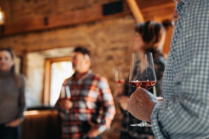 Central Otago Wine Tour Small Group, Expert Guide & Scenic Views - Final Thoughts