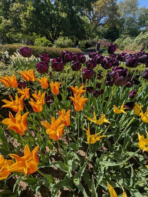 Central Park 5 Star Walking Tour led by Manhattan residents! - Stories, Architecture, and Cultural Insights