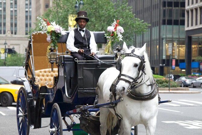 Central Park and NYC Horse Carriage Ride - What Makes This Carriage Ride Special
