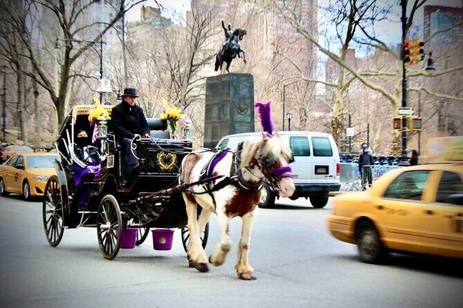 Central Park and NYC Horse Carriage Ride - What You Need to Know: Practical Details