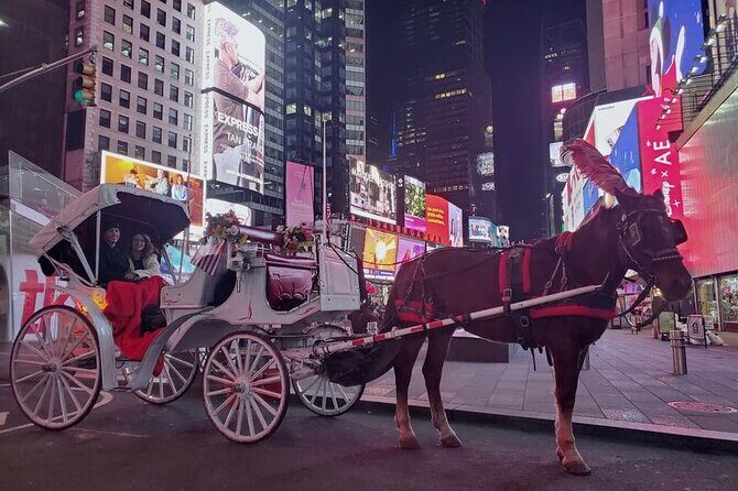 Central Park and NYC Horse Carriage Ride - Who Should Consider This Tour?