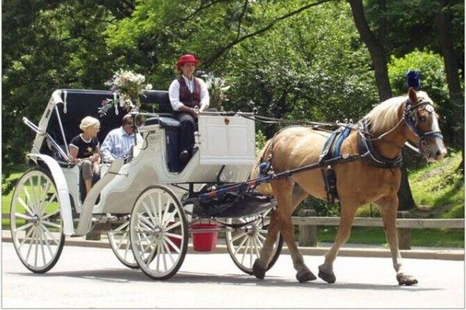 Central Park and NYC Horse Carriage Ride - The Sum Up