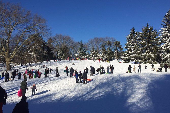 Central Park and Upper East Side Walking Tour - Pricing and Value