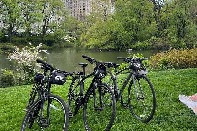 Central Park Bike Tour in New York City - Exploring Central Park by Bike: What to Expect