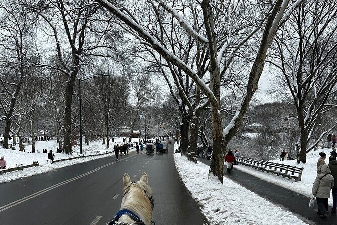Central Park Carriage Ride NYCs Timeless Tour - Final Thoughts