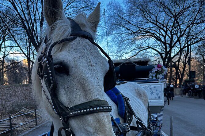 Central Park Carriage Ride NYCs Timeless Tour - FAQ