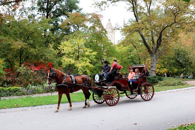 Central Park Carriage Ride w/ Drop Off @ Tavern On Green (45 min) - What the Tour Looks Like