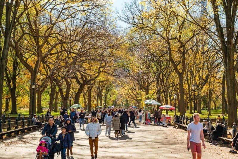Central Park Guided Bike Tour - Who should consider this tour?