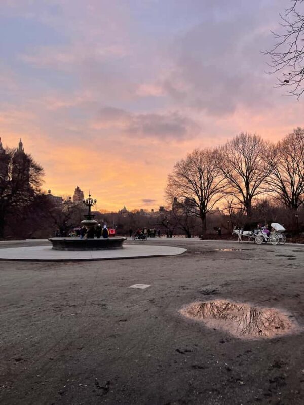 Central Park: Guided Pedicab Tour With Photo Stops - Who Should Consider This Experience?