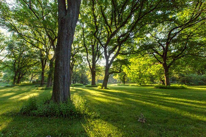 Central Park Guided Walking Tour - Final thoughts: Is it worth it?