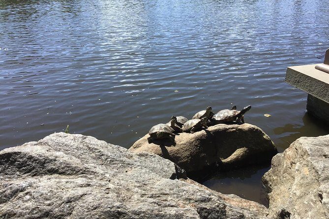 Central Park Guided Walking Tour - Frequently Asked Questions