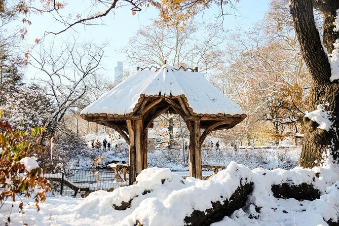 Central Park Guided Walking Tour in French - The Value: Cost vs. Experience